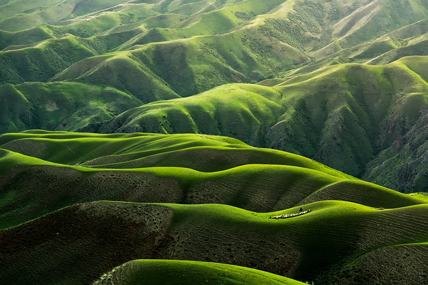 Plug Power Announces Continued Cash Flow Improvement and Progress on ...